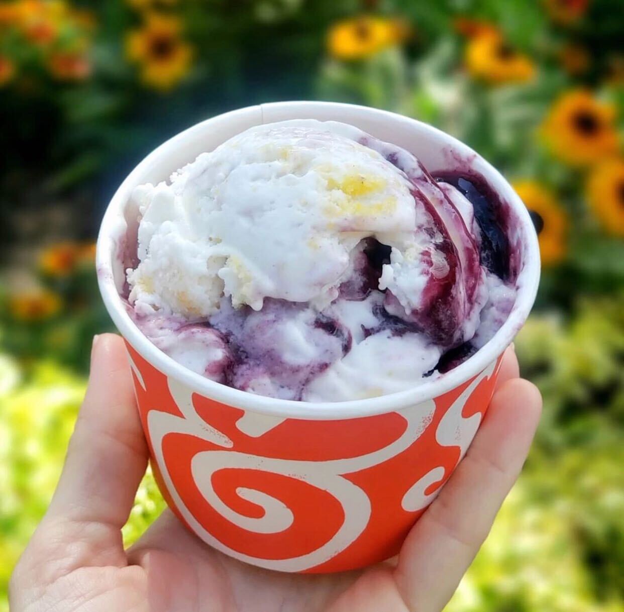 Huckleberry Hunting: Forage Your Way Through the PNW – Salt & Straw