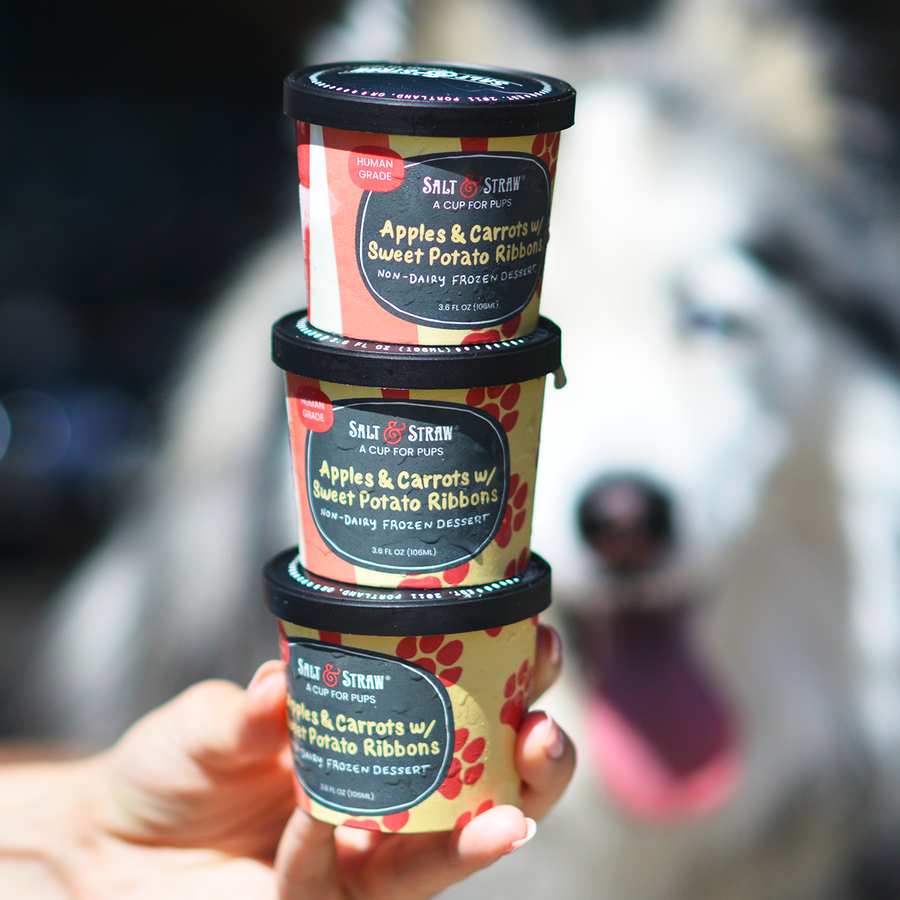 Ice Cream Packs | Salt & Straw