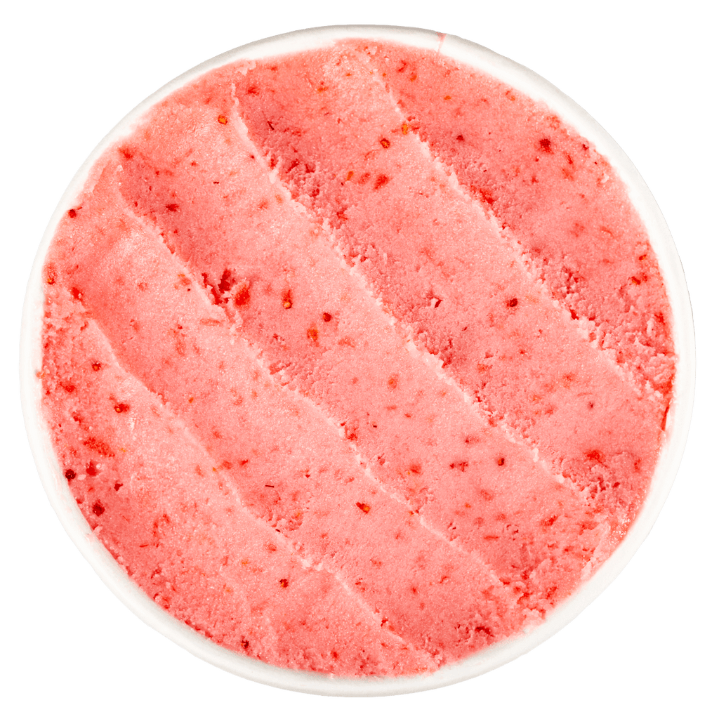Strawberry & Coconut Water Sherbet (v) – Salt & Straw